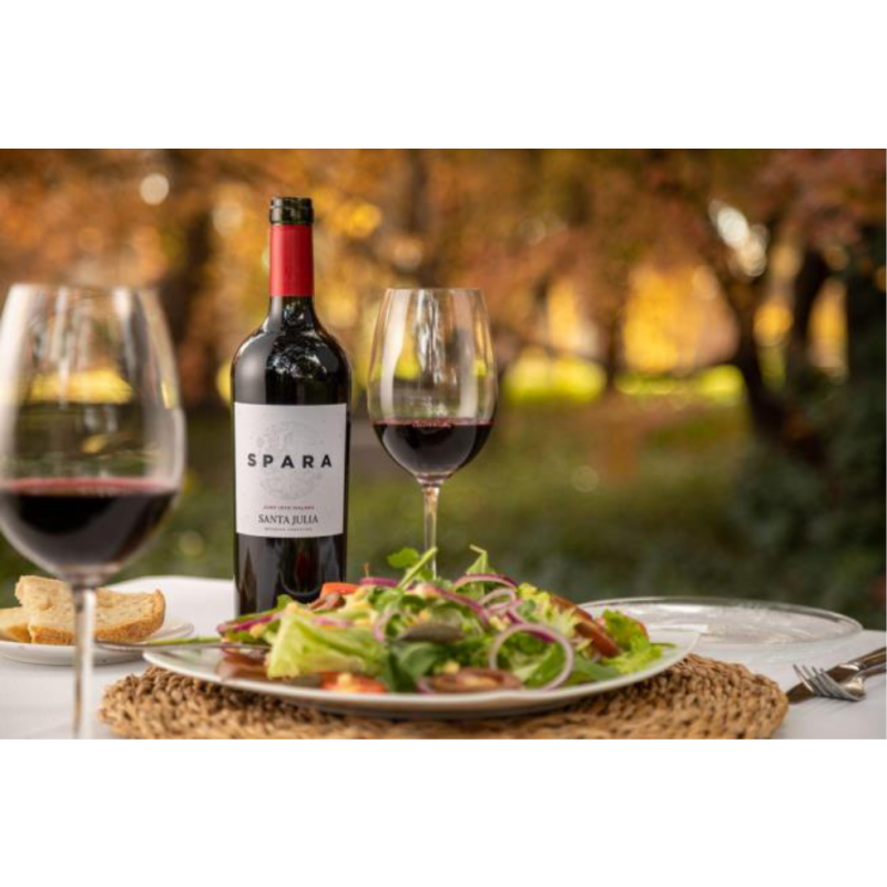 SPARA JUMP INTO MALBEC